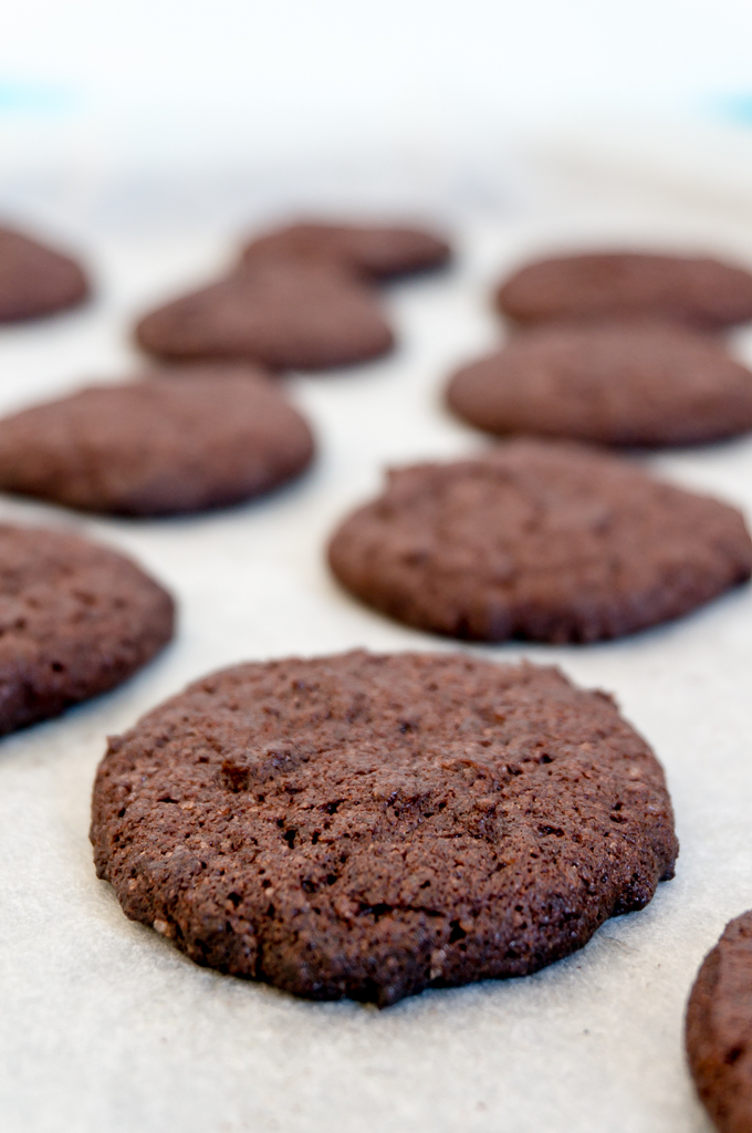 Homemade "Oreos" Sans Filling